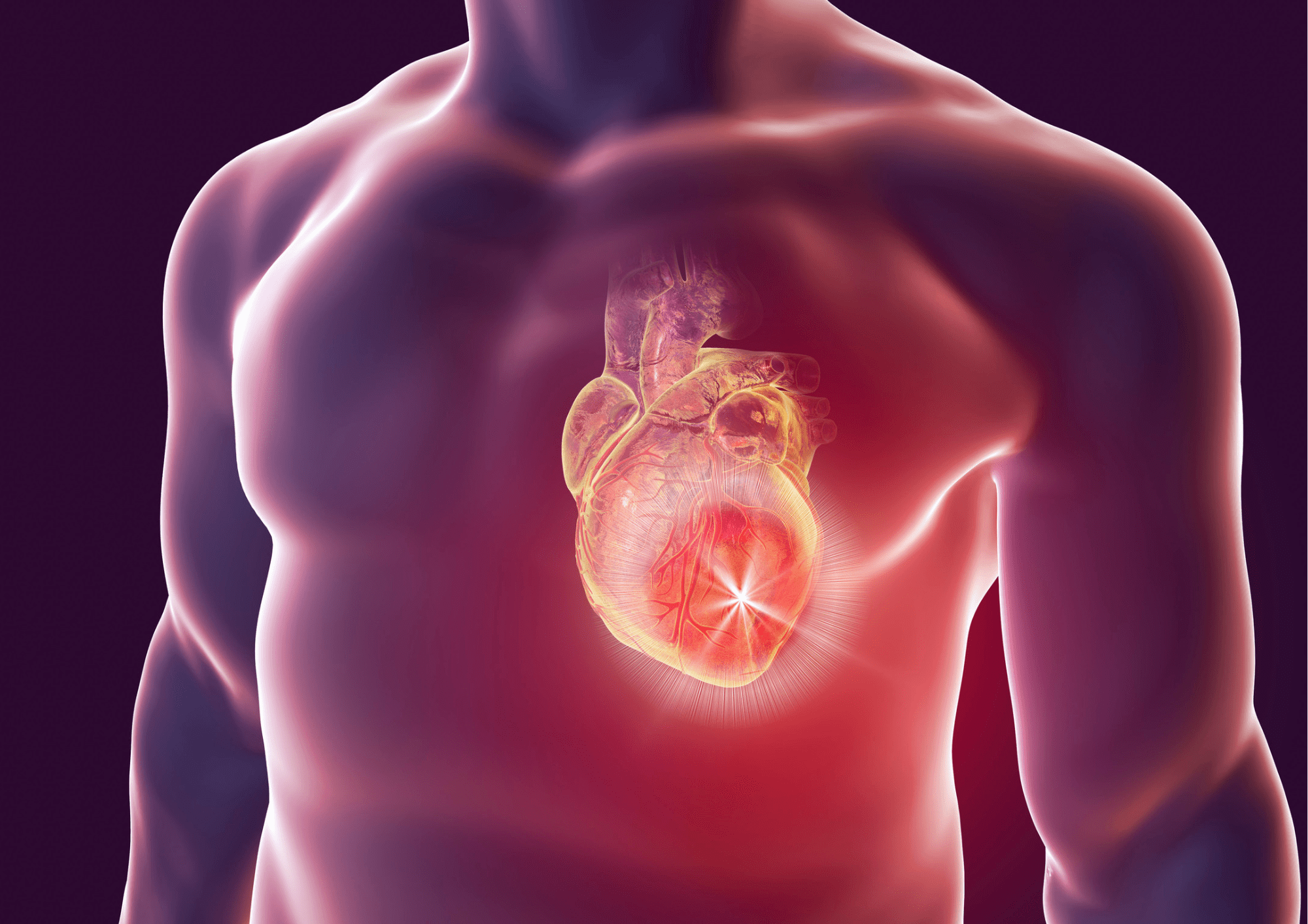 Cardiovascular Disease (CVD) Screening | Heart Health Panel - MediTests